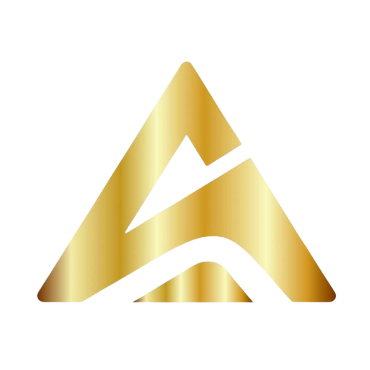 PT. Indonesia Digital Goldstar